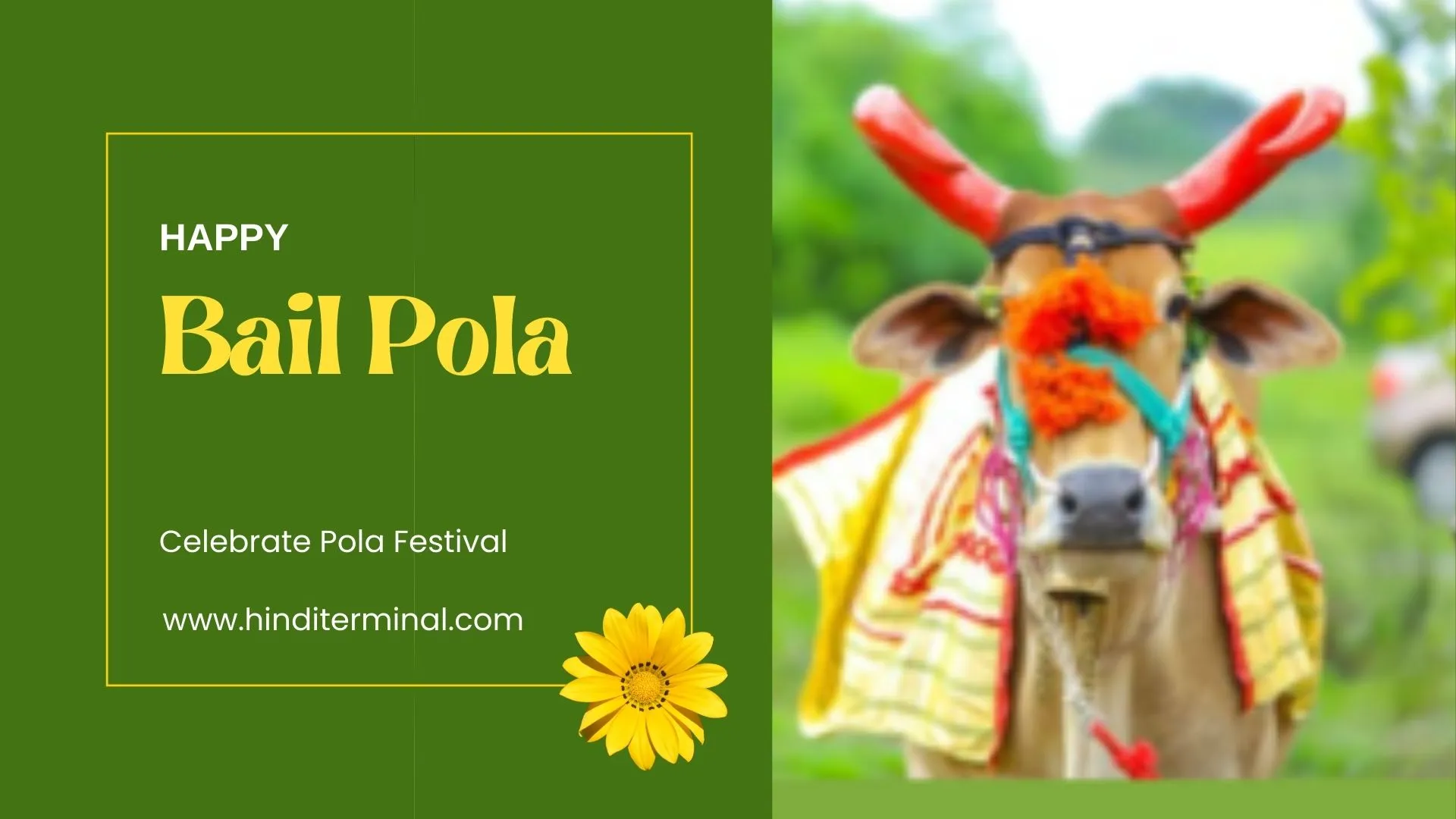 Bail Pola Festival 2025: When is Bail Pola? Why is It Celebrated? How to Celebrate, Rituals, and ...